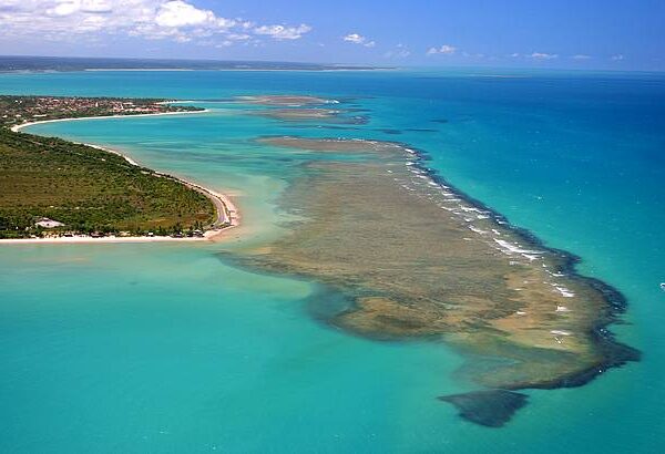 Discovery Coast Explore The Beaches And Learn About Brazil s History discovery-coast-explore-the-beaches-and-learn-about-brazil-s-history